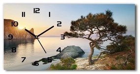 Wallmuralia Skleněné hodiny na stěnu Strom nad mořem 60x30 cm
