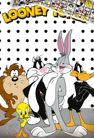 Dětské povlečení Kamarádi z Looney Tunes