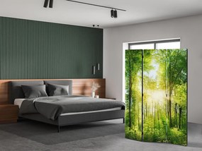 Liox PARAVÁN PROSLUNĚNÝ ZELENÝ LES Rozměr: 135 x 180 cm
