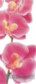 AG Design Orchideje Fototapeta na dveře FTN v 2826, rozměr 90x202cm