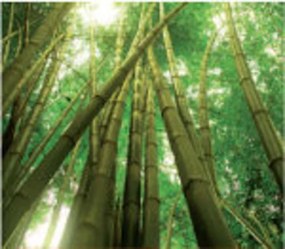 Kaarsgaren Chránič matrace bambus - polyuretan 70 x 160 cm