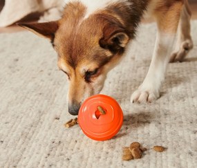 Tchibo - Hračka pro psy »Snackball« - barva: oranžová