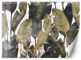 Fototapeta, Banánové listy Rostliny Příroda - 150x105 cm