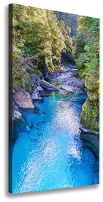 Wallmuralia Vertikální Foto obraz canvas Řeka v lese 50x100