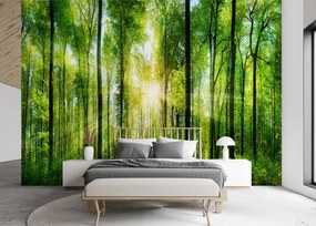Gario Fototapeta Sluneční paprsky v zeleném lese Materiál: Vliesová, Rozměry: 200 x 140 cm