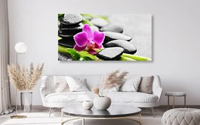 Obraz wellness zátiší s fialovou orchidejí - 120x60 cm