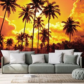Samolepící tapeta kokosové palmy na pláži - 450x300 cm