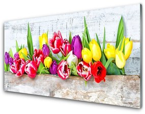 Plexisklo-obraz Tulipány Květiny Příroda 100x50 cm