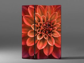Liox Paraván květ Jiřinky Rozměr: 135 x 180 cm