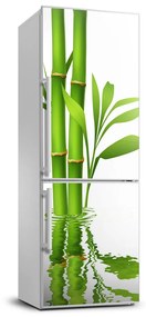 Wallmuralia Nálepka fototapeta lednička Bambus 60x180 cm