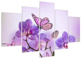 Obraz motýla na květech orchideje (150x105 cm)