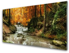 Plexisklo-obraz Vodopád Les Příroda 140x70 cm