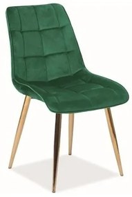 Jídelní židle Chic Velvet II, tmavě zelená / zlatá