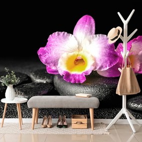 Samolepící fototapeta orchidej na Zen kamenech - 150x100 cm