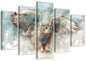 Obraz na plátně pětidílný 5 kusů Sova Ptáci Příroda Zvířata - 150x100 cm