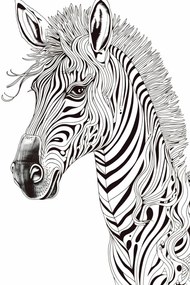 Plakát - Zebra s punkovou hřívou