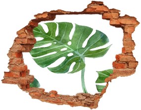 Wallmuralia Nálepka 3D díra na zeď beton Monstera 90x70 cm