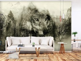 Fototapeta Predátor z hor - vlk mezi lesními stromy v horách v šedých tónech