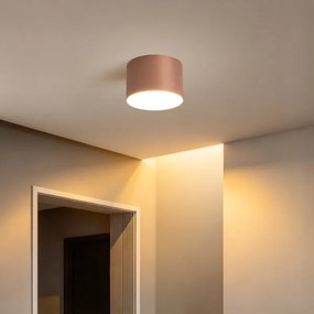 BRILAGI - Venkovní stropní svítidlo FORIS LED/9W/230V pr. 9 cm bronzová IP44