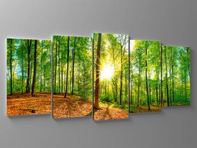 Liox Obraz les Rozměr: 100 x 45 cm