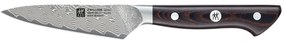 Zwilling Tanrei nůž špikovací 10 cm, 30570-101