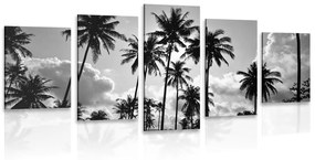 5-dílný obraz kokosové palmy na pláži v černobílém provedení Varianta: 200x100