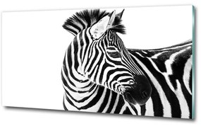 Wallmuralia Foto obraz sklo tvrzené Zebra ve sněhu 100x50