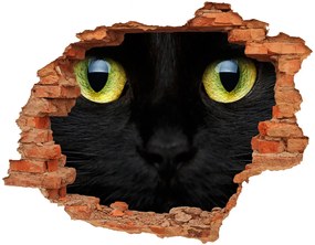 Wallmuralia Nálepka 3D díra na zeď Kočičí oči 90x70 cm