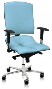 Zdravotní židle Steel Standard+ II / světle modrá