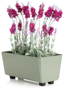 PLASTOVÝ KVĚTINÁČ SALVIA 28,5X17 CM ZELENÁ