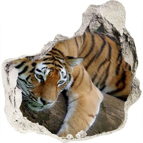 Wallmuralia Díra 3D fototapeta nálepka Tygr na stromě 75x75 cm