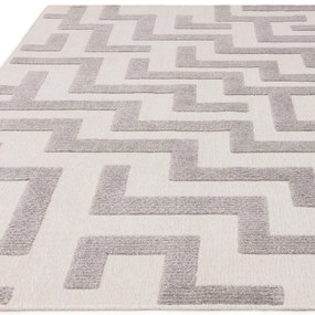 Tribeca Design Kusový koberec Stooges Cove Grey Rozměry: 160x230 cm