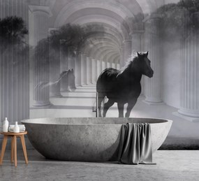 Gario Fototapeta Běžící kůň Materiál: Vliesová, Rozměry: 200 x 140 cm