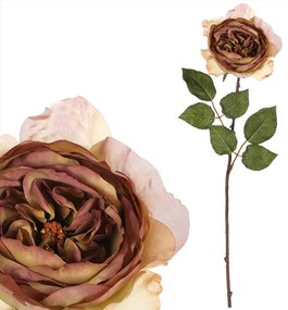 Růže anglická UKK352-GRN olivovo-fialová barva