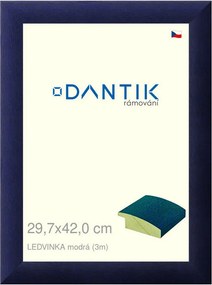 DANTIK rámeček 29,7x42 | LEDVINKA modrá (Plexi Čiré)