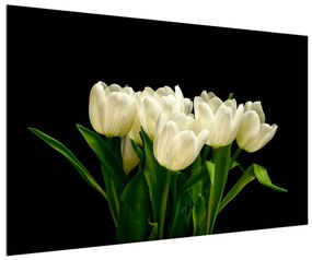 Obraz tulipánů  (120x80 cm)