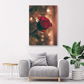 Gario Obraz na plátně Červená růže květ Rozměry: 40 x 60 cm