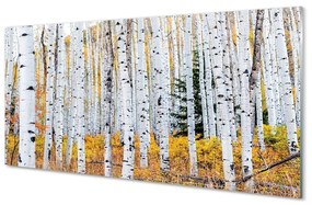 Obraz na skle podzimu bříza 120x60 cm