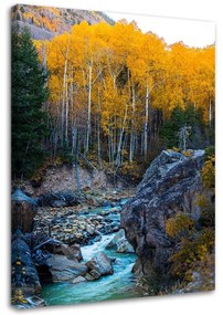 Obraz na plátně Potok Les Příroda Žlutá - 60x90 cm
