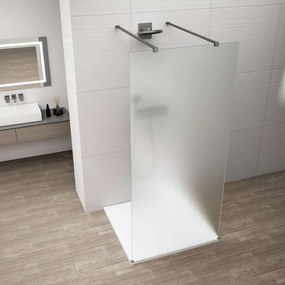 Polysan Esca - Sprchová stěna Walk-In 100x210 cm, Antidrop, matné sklo/gun metal ES1110-12