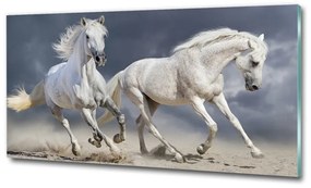 Wallmuralia Fotoobraz skleněný na stěnu do obýváku Bílí koně pláž 100x50