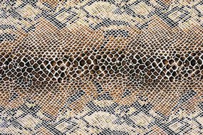 DIMEX | Samolepicí vliesová fototapeta na zeď Hadí textura MA-5-2584 | 375 x 250 cm | béžová, černá, hnědá