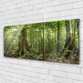Plexisklo-obraz Les Příroda Džungle 125x50 cm