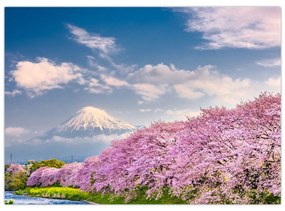Skleněný obraz - Japonská jarní krajina (70x50 cm)