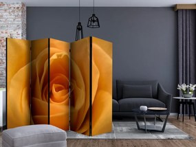 Paraván - Yellow rose – a symbol of friendship II [Room Dividers]