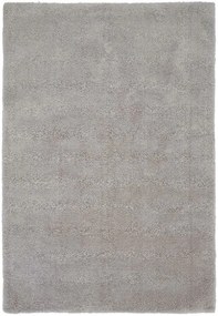 Šedý  koberec Zappa Silver Rozměry: 120x170 cm