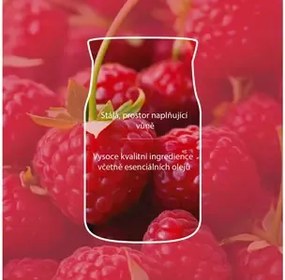 Yankee Candle Signature Red Raspberry střední sklenice 368g / doba hoř