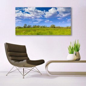 akrylový obraz Louka Tráva Nebe Krajina 120x60 cm