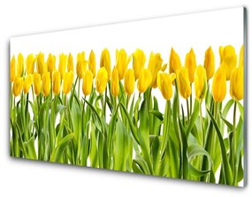 Obraz na skle Tulipány Květiny Příroda 120x60 cm