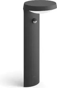 Philips Tyla IR 9W šedá / LED venkovní sloupkové svítidlo / 930LM / 40